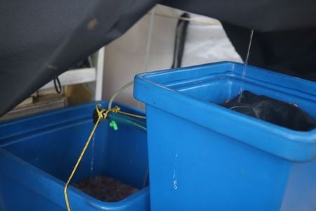 Low-tech Hydroponics System : 6 Steps (with Pictures) - Instructables