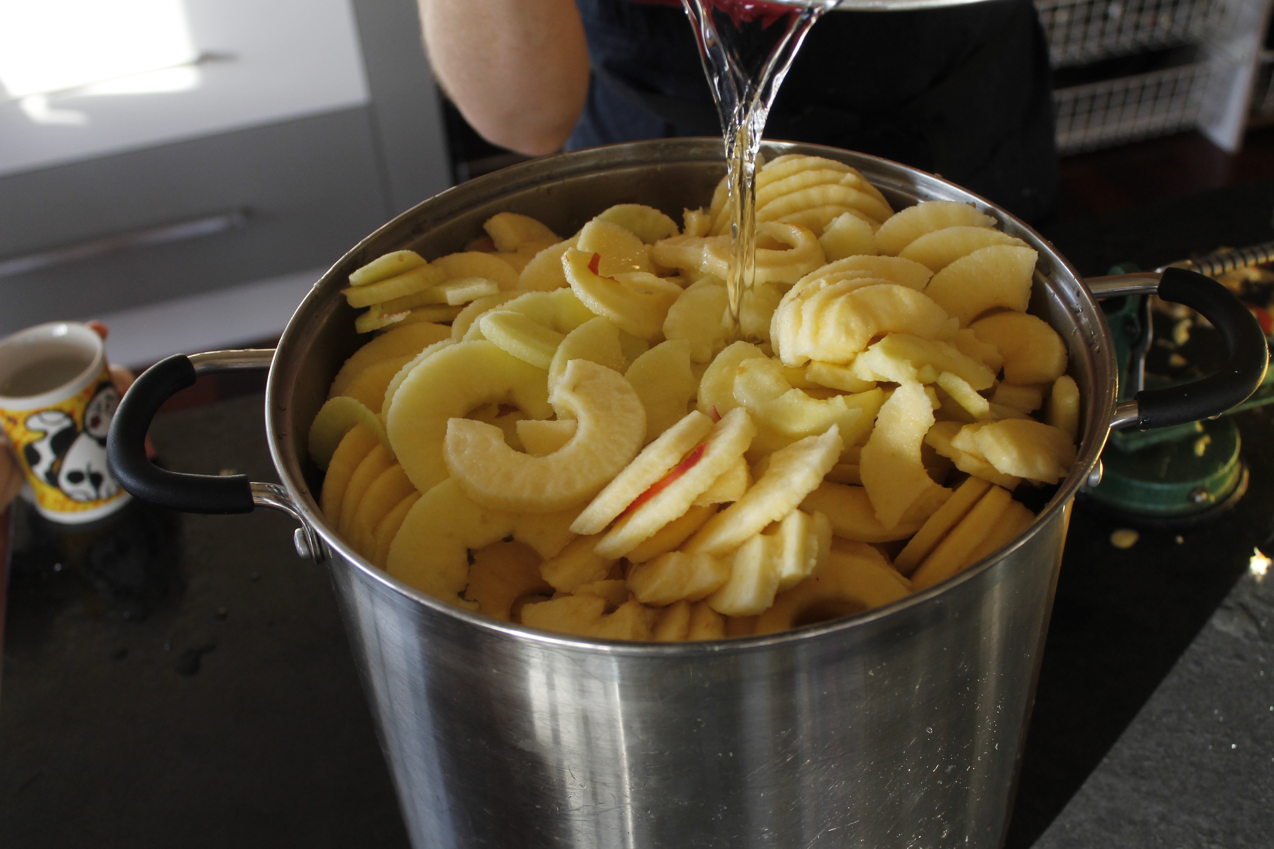 How to Stew Apples : 6 Steps (with Pictures) - Instructables