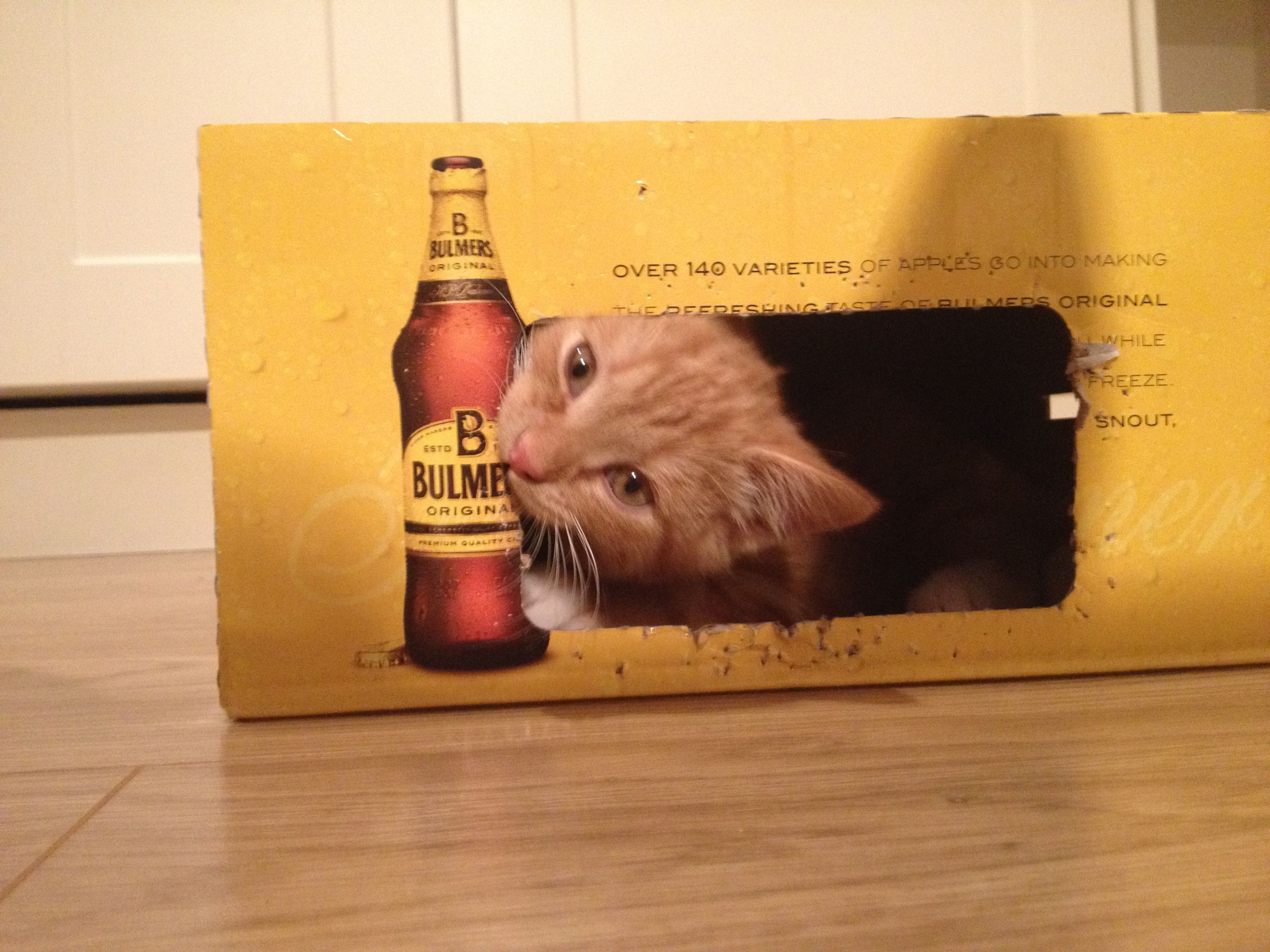 Raspberry Pi Multi-Room Music Player : 4 Steps - Instructables