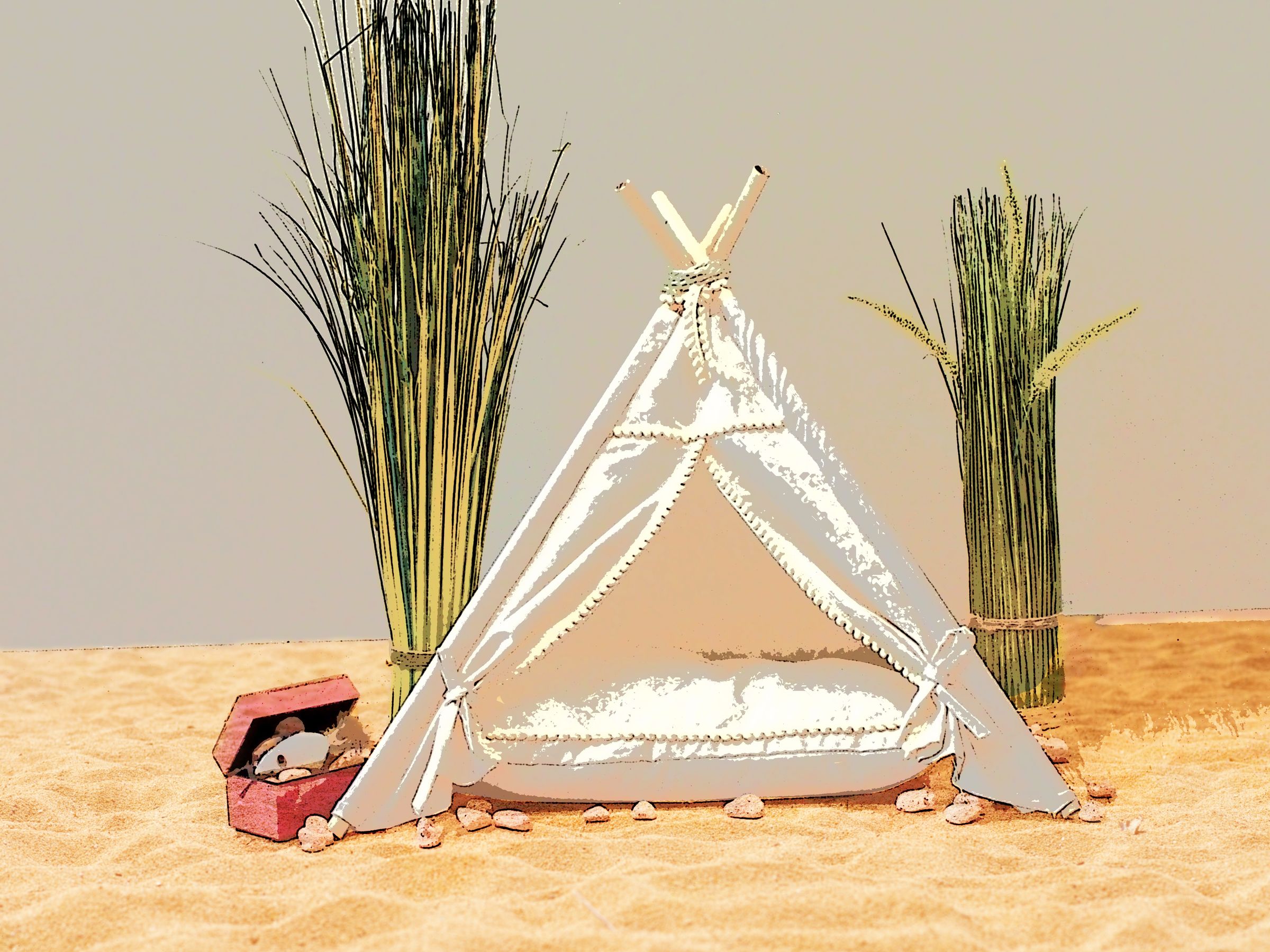 Pet Teepee/House : 6 Steps (with Pictures) - Instructables