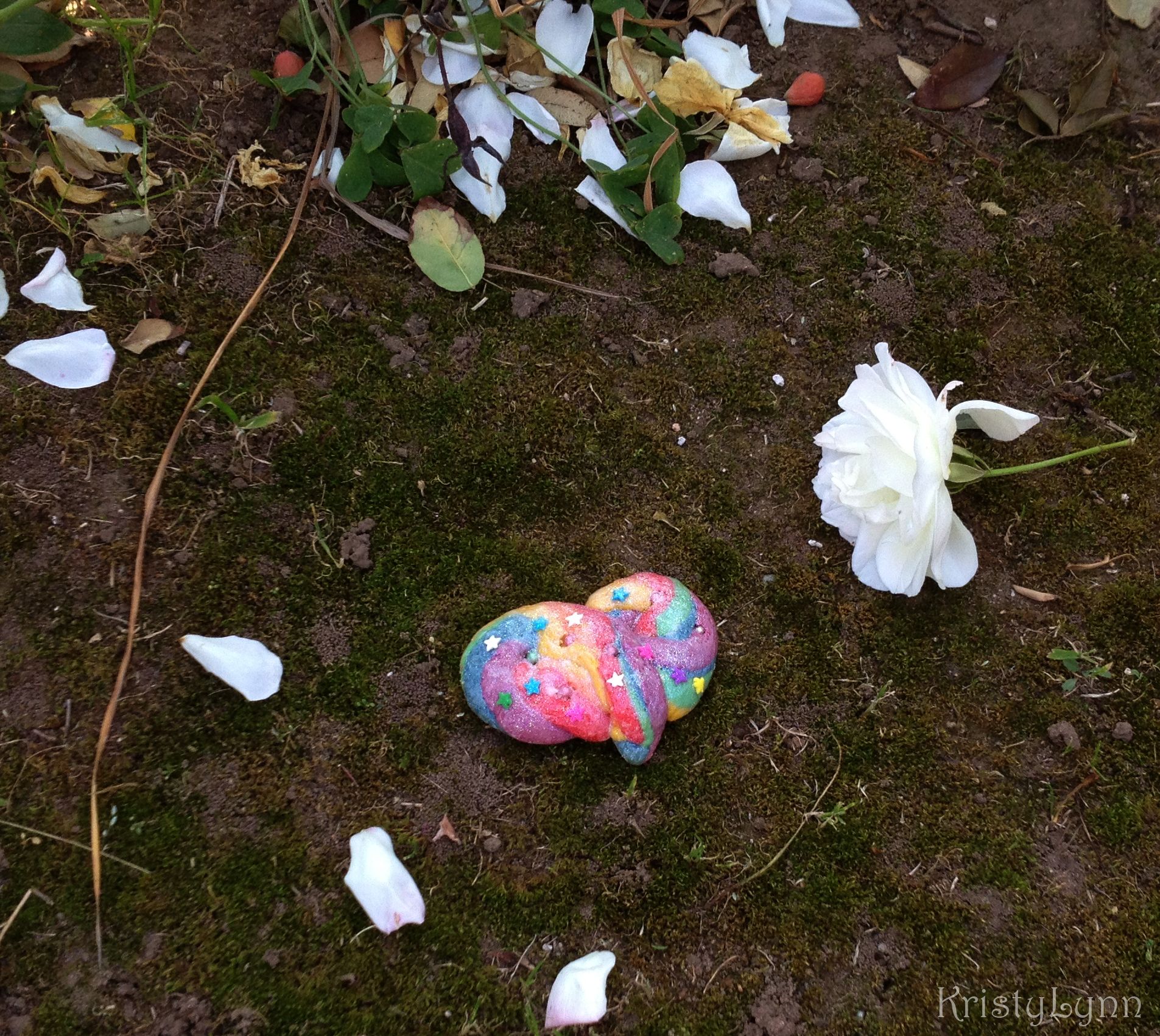 Unicorn Poop® : 9 Steps (with Pictures) - Instructables