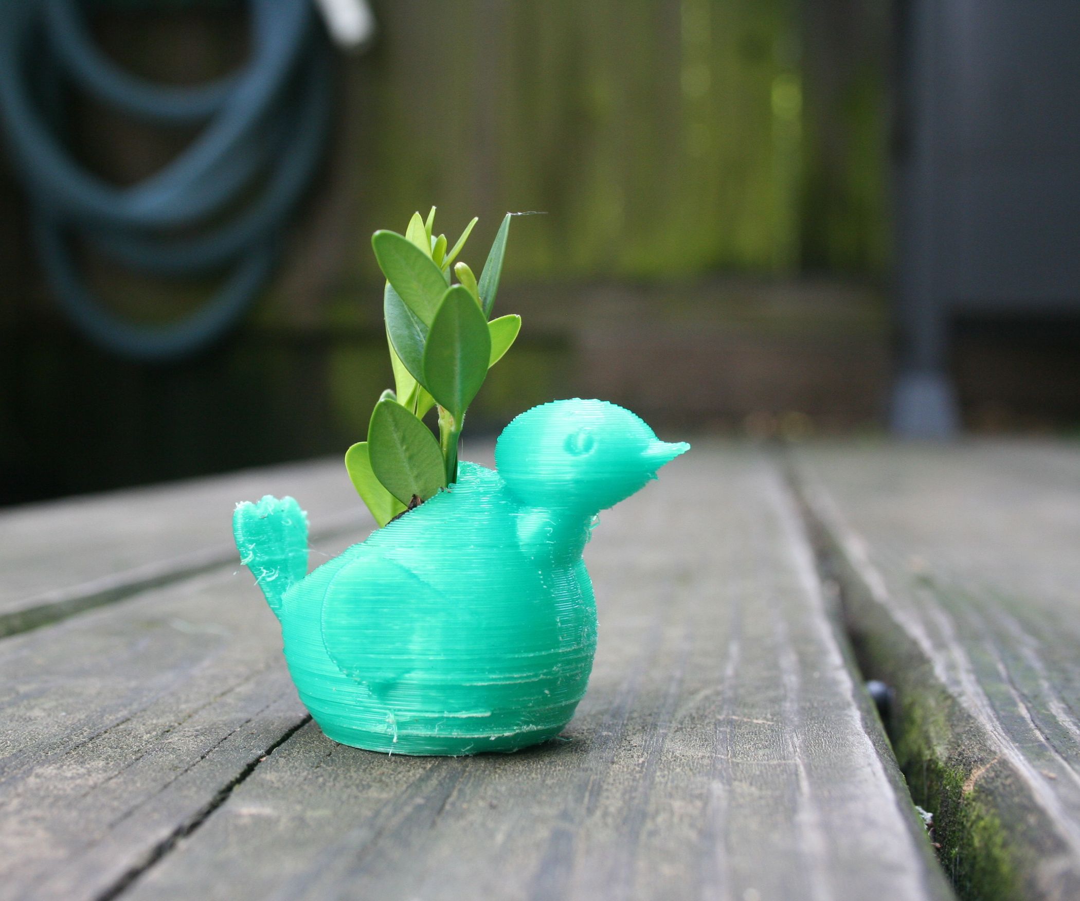 Tinkercad 3-D Printed Bird Planter : 8 Steps (with Pictures ...
