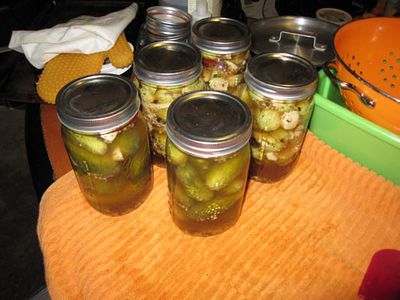 Pickle Anything! Basic Pickle Instructions : 6 Steps (with Pictures ...