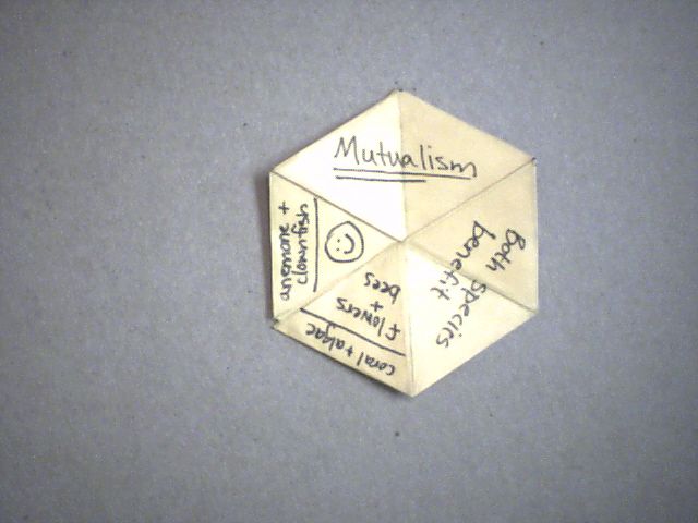 How to Make a Hexaflexagon : 10 Steps (with Pictures) - Instructables