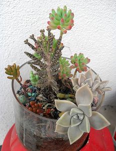 Easy Garden Key Hide : 6 Steps (with Pictures) - Instructables