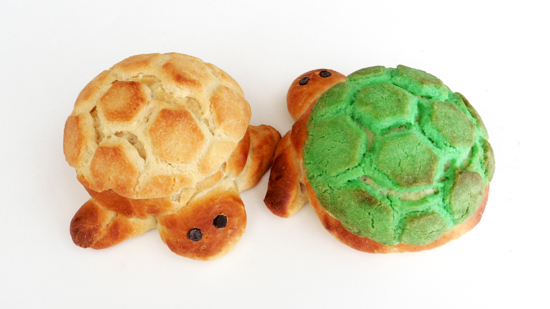 Turtle Bread: Tortuga Conchas : 6 Steps (with Pictures) - Instructables