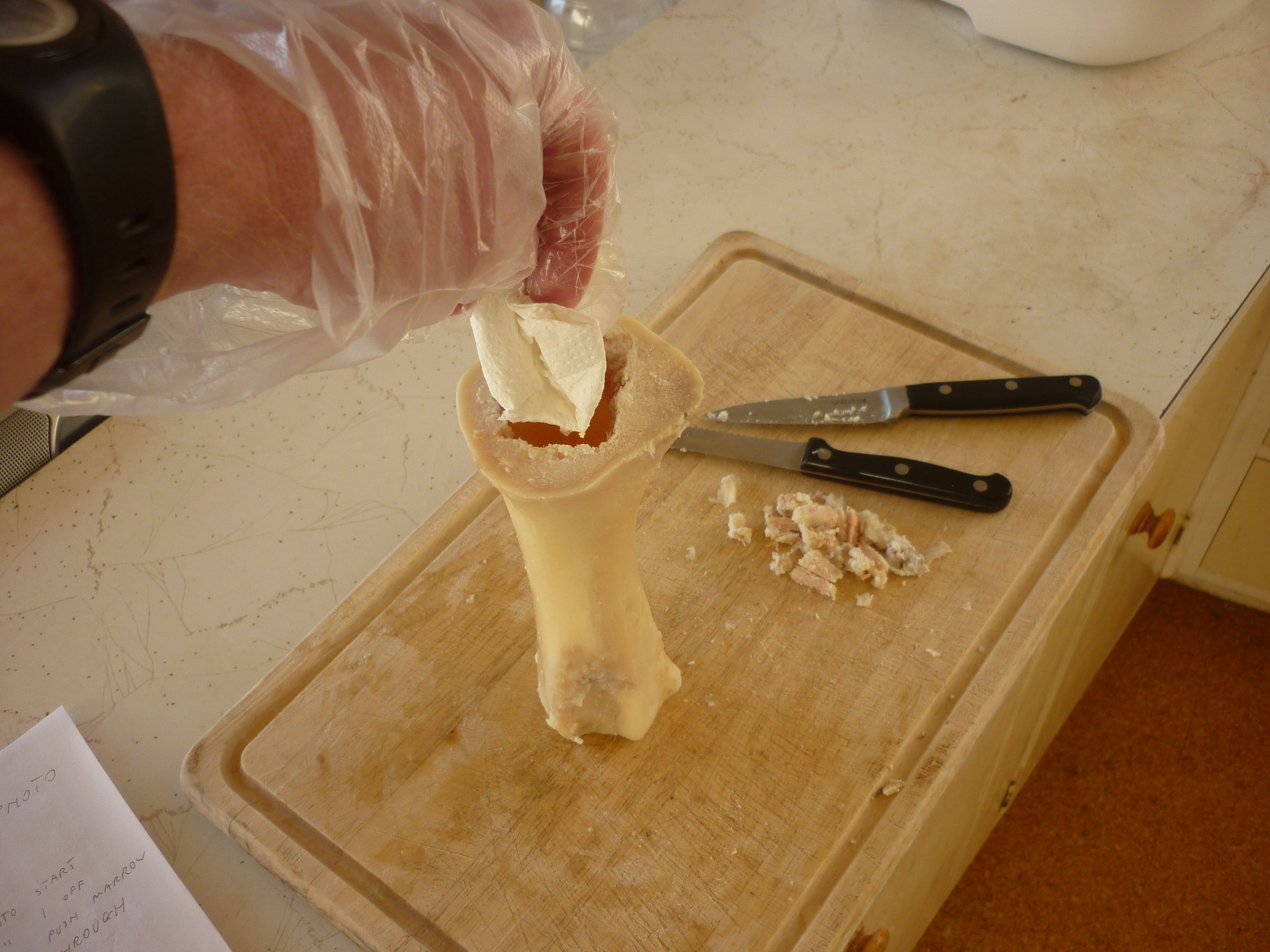 Prepare Bone for Carving : 8 Steps - Instructables