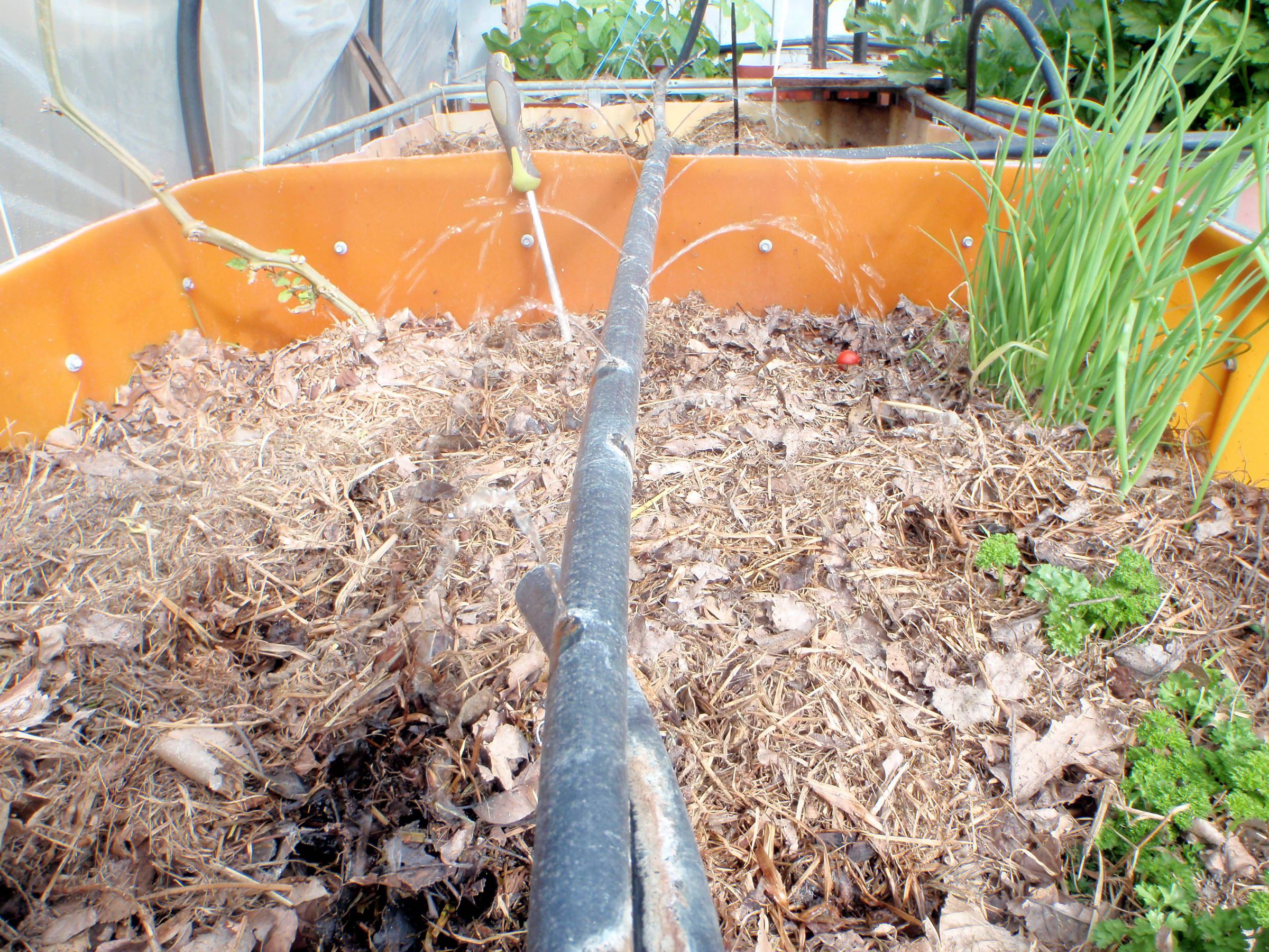 Vermiponic Garden : 12 Steps (with Pictures) - Instructables