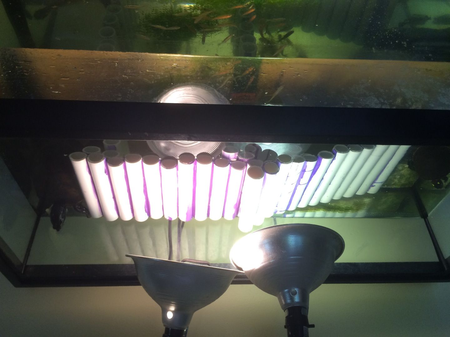 PVC Turtle Dock : 6 Steps - Instructables