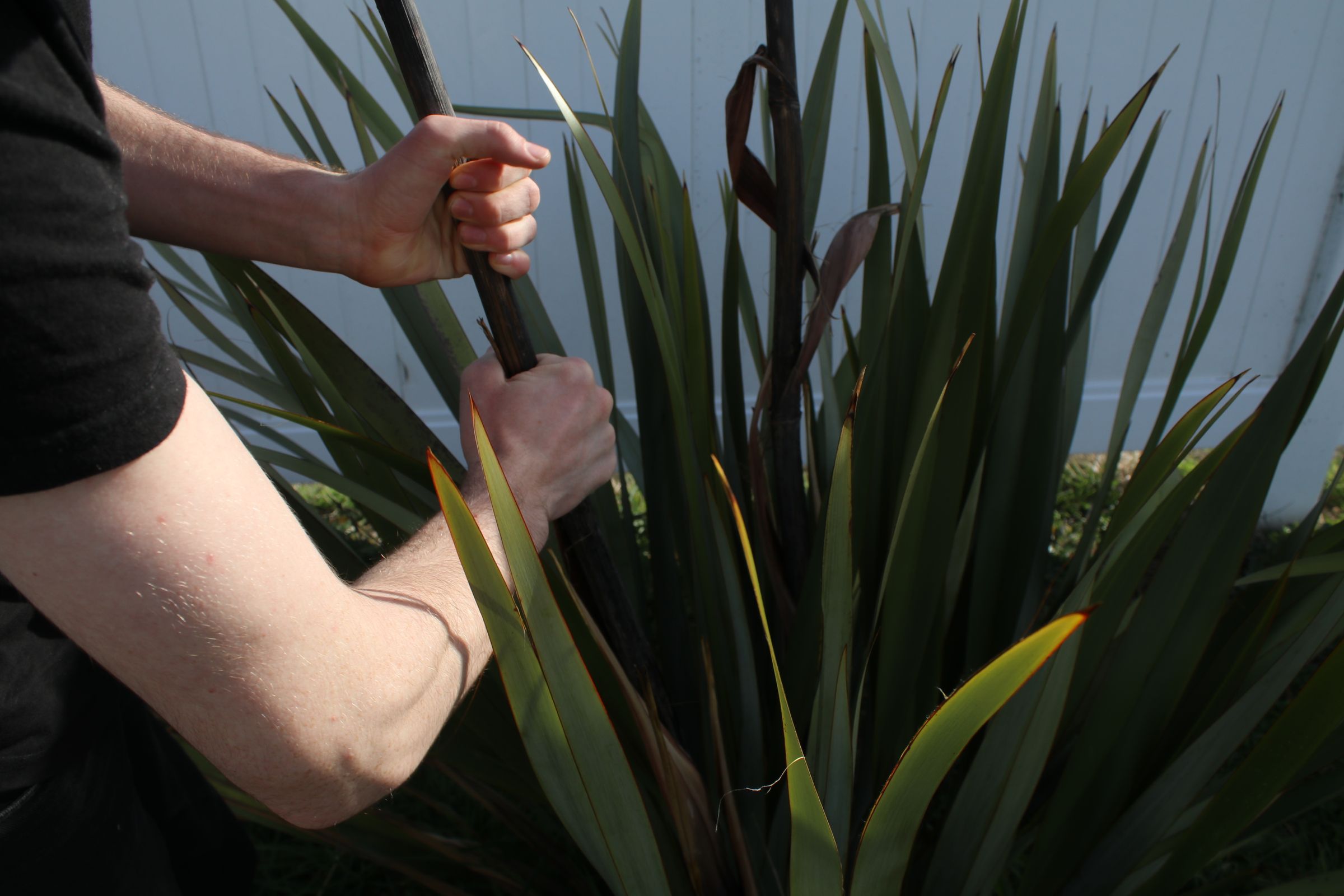 How to Carve a Flax Boat : 10 Steps (with Pictures) - Instructables