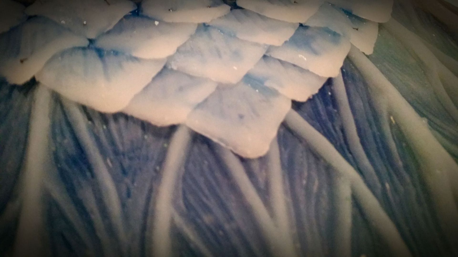 Silicone Mermaid Tail : 8 Steps (with Pictures) - Instructables