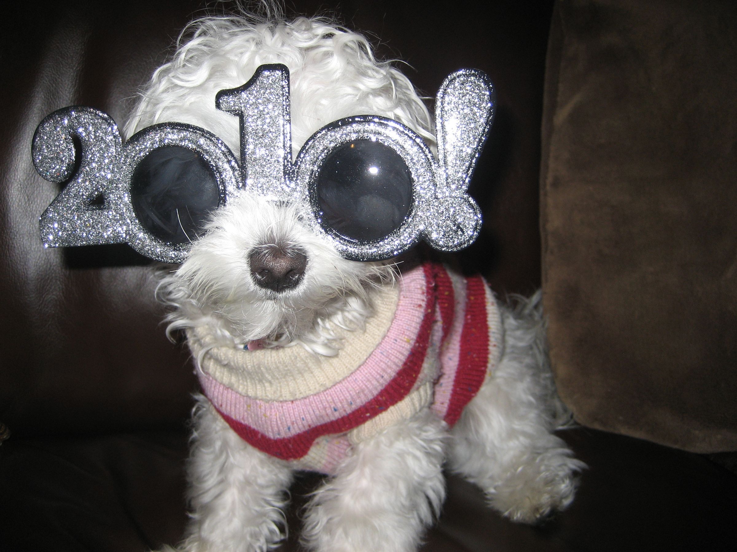 Custom Windsurfer Storage Rack : 11 Steps - Instructables