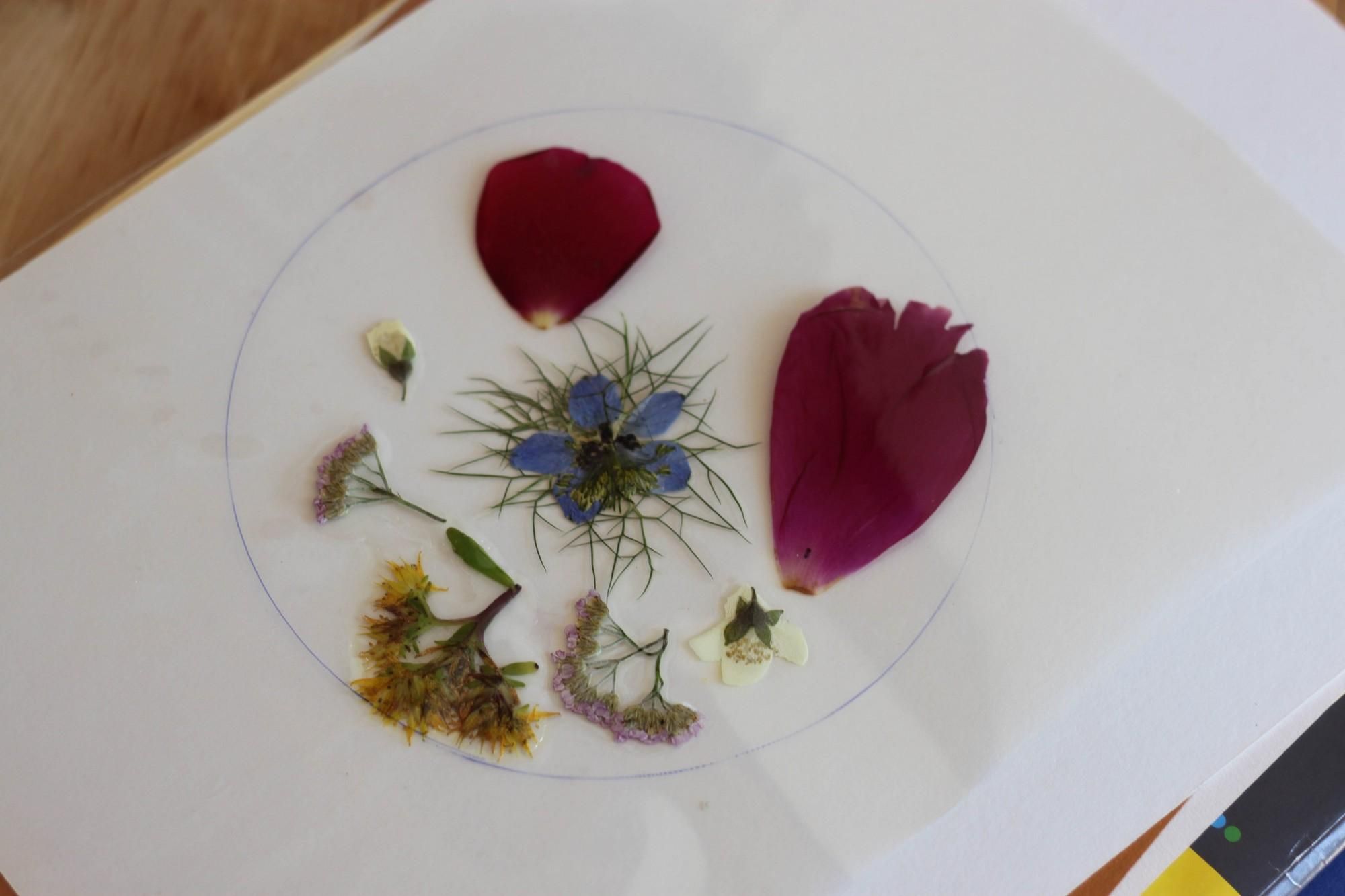 Flower Sun Catcher : 5 Steps (with Pictures) - Instructables