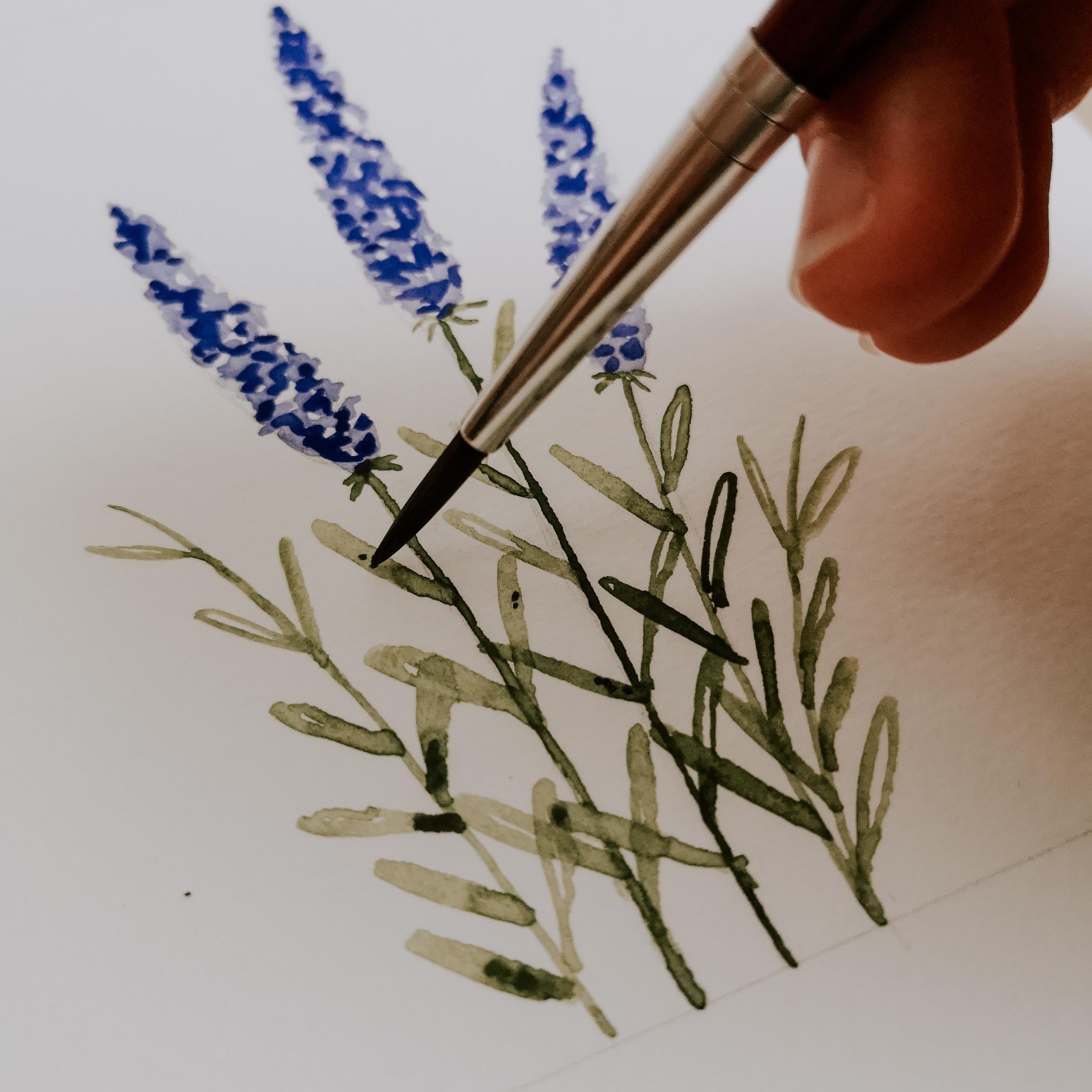 How to Paint a Beautiful Watercolor Lavender : 8 Steps (with Pictures ...