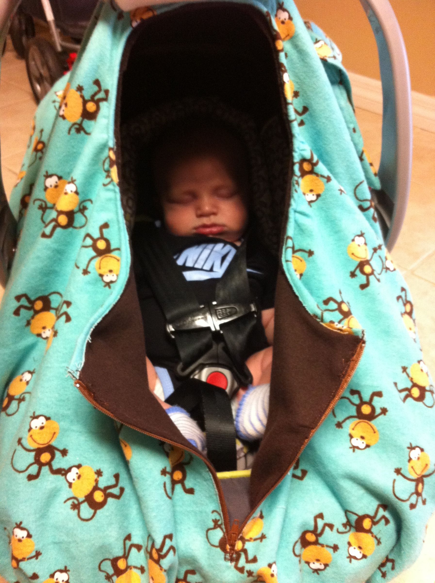 Fun Infant Car Seat Cover- With Pockets and Pacifier/toy Holder : 5 ...