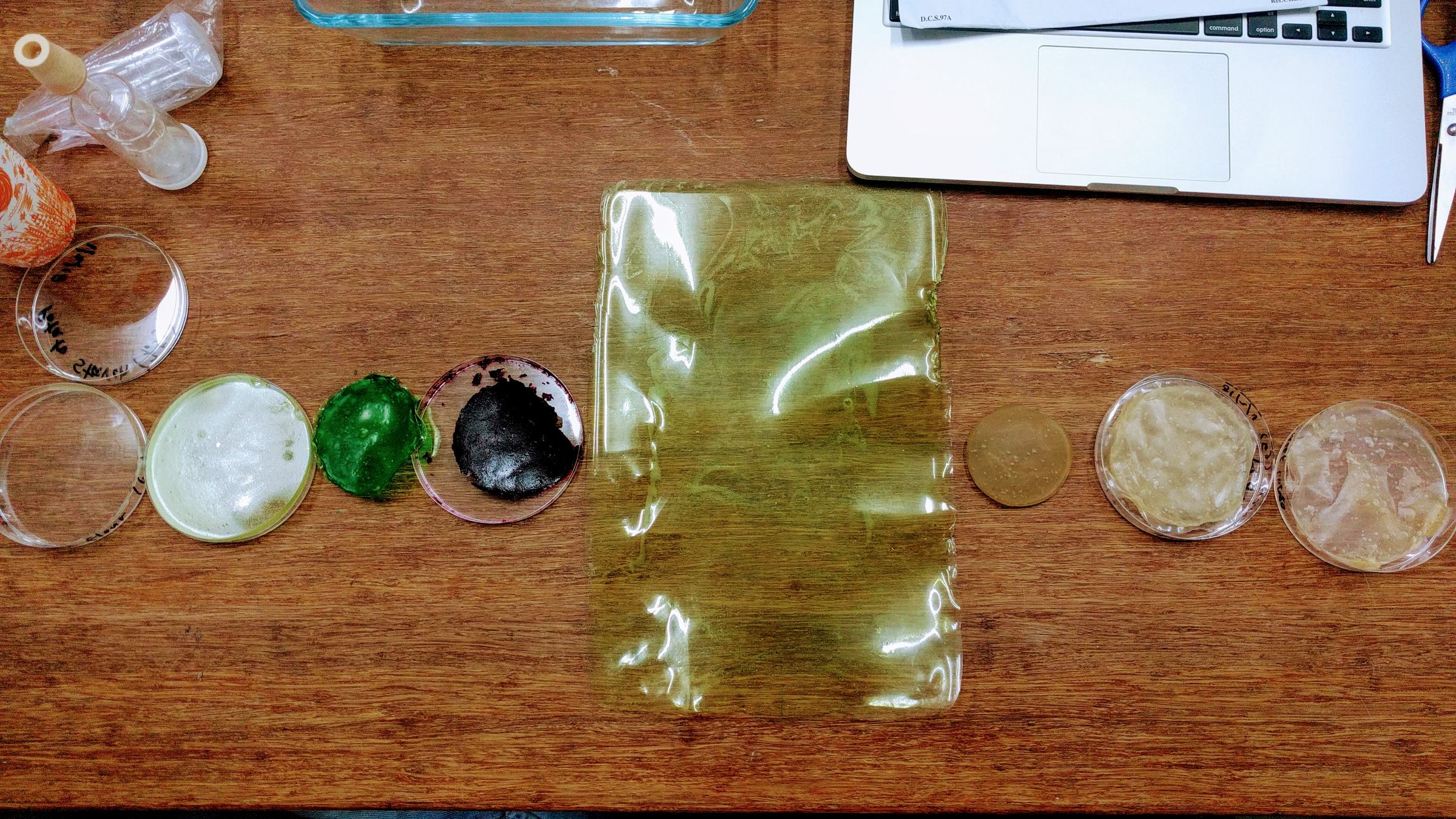 Make Your Own Bioplastics! : 4 Steps (with Pictures) - Instructables