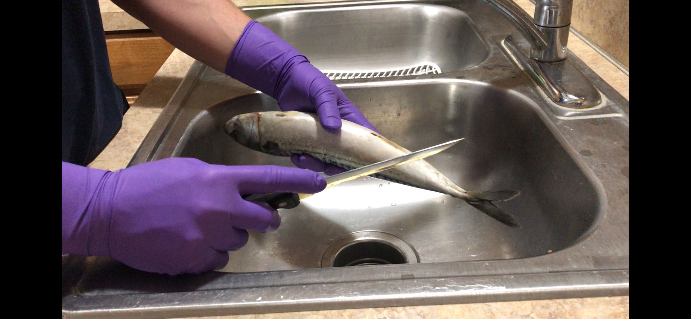 How to Clean a Fish : 22 Steps (with Pictures) - Instructables