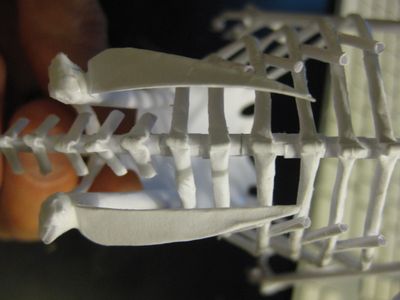 Paper Crow Skeleton : 13 Steps (with Pictures) - Instructables