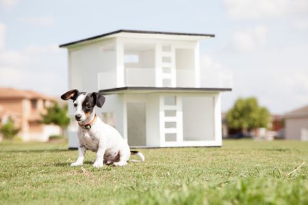 WiFi Enabled Puppy Condo : 10 Steps (with Pictures) - Instructables