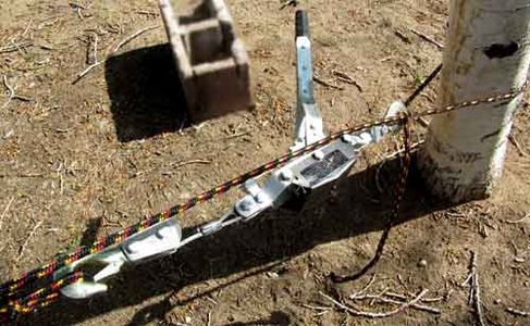 Cutting Down a Tree in Pieces : 21 Steps - Instructables