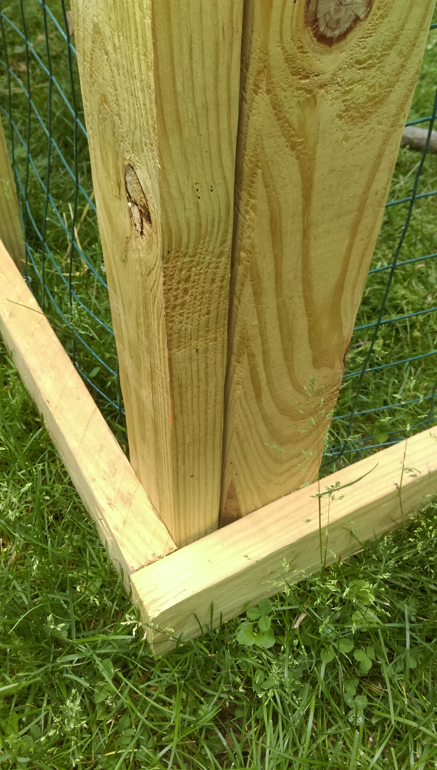 Building a Chicken Run for Beginners : 7 Steps (with Pictures ...
