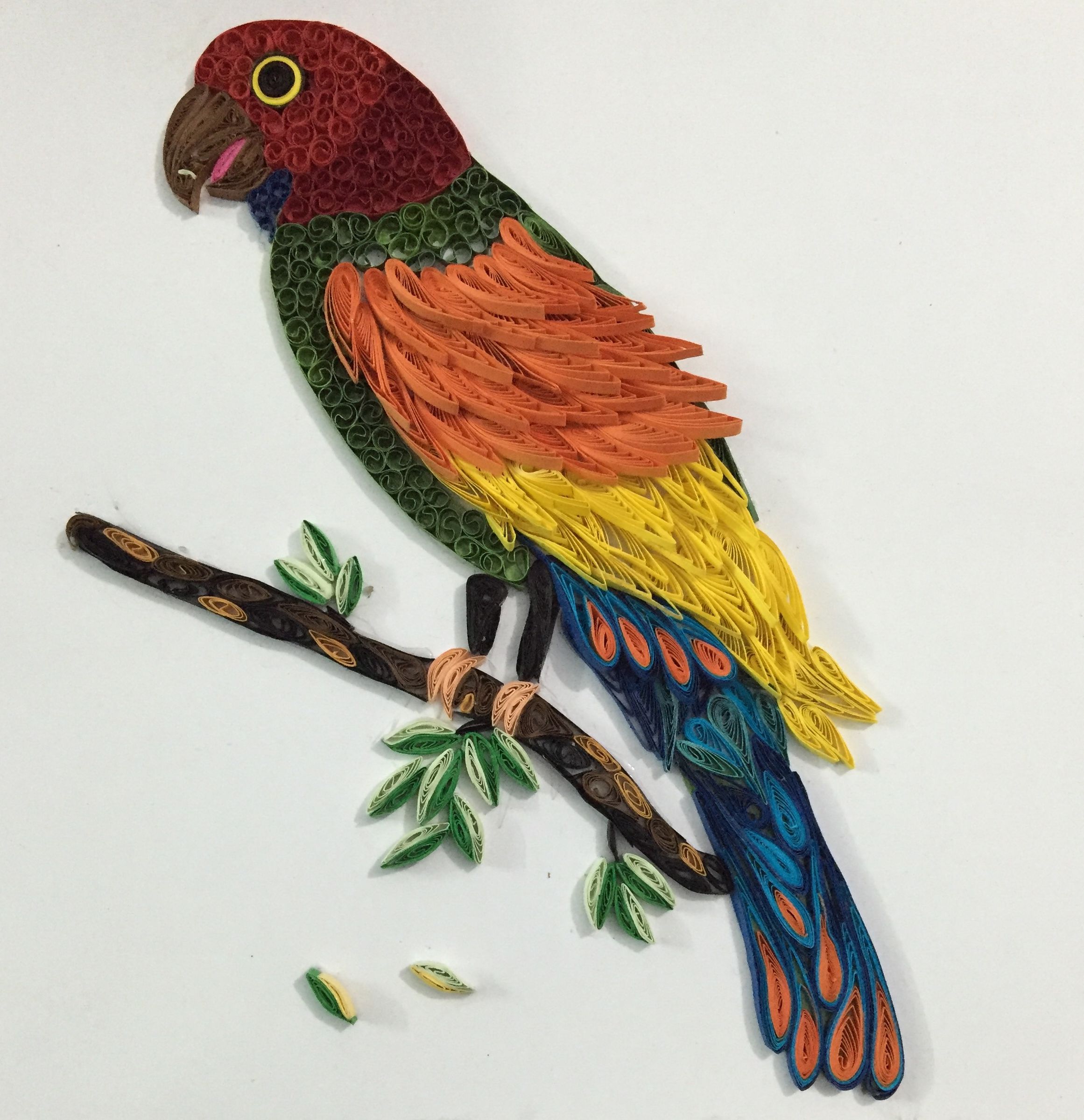 Quilled Parrot (with Pictures) - Instructables