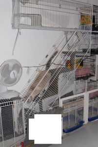 Cat Enclosure - Tunnel, Save Space ('CatWalk Is My Road' - AKahn ...