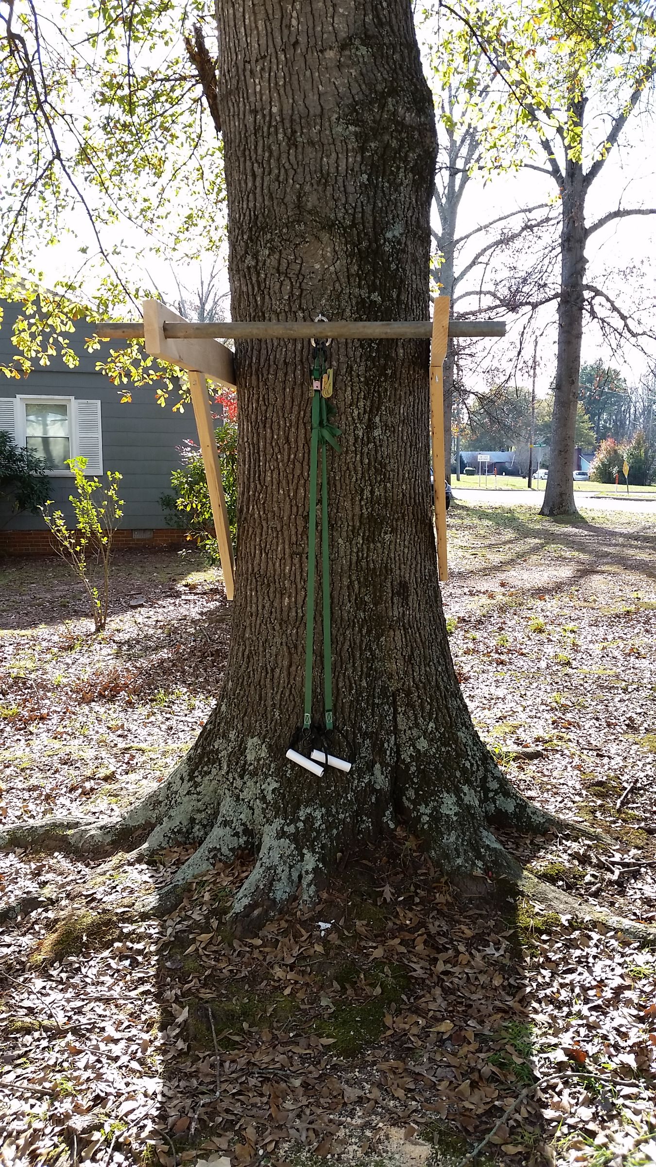 Pull-up Bar on a Tree With No Limbs : 3 Steps - Instructables