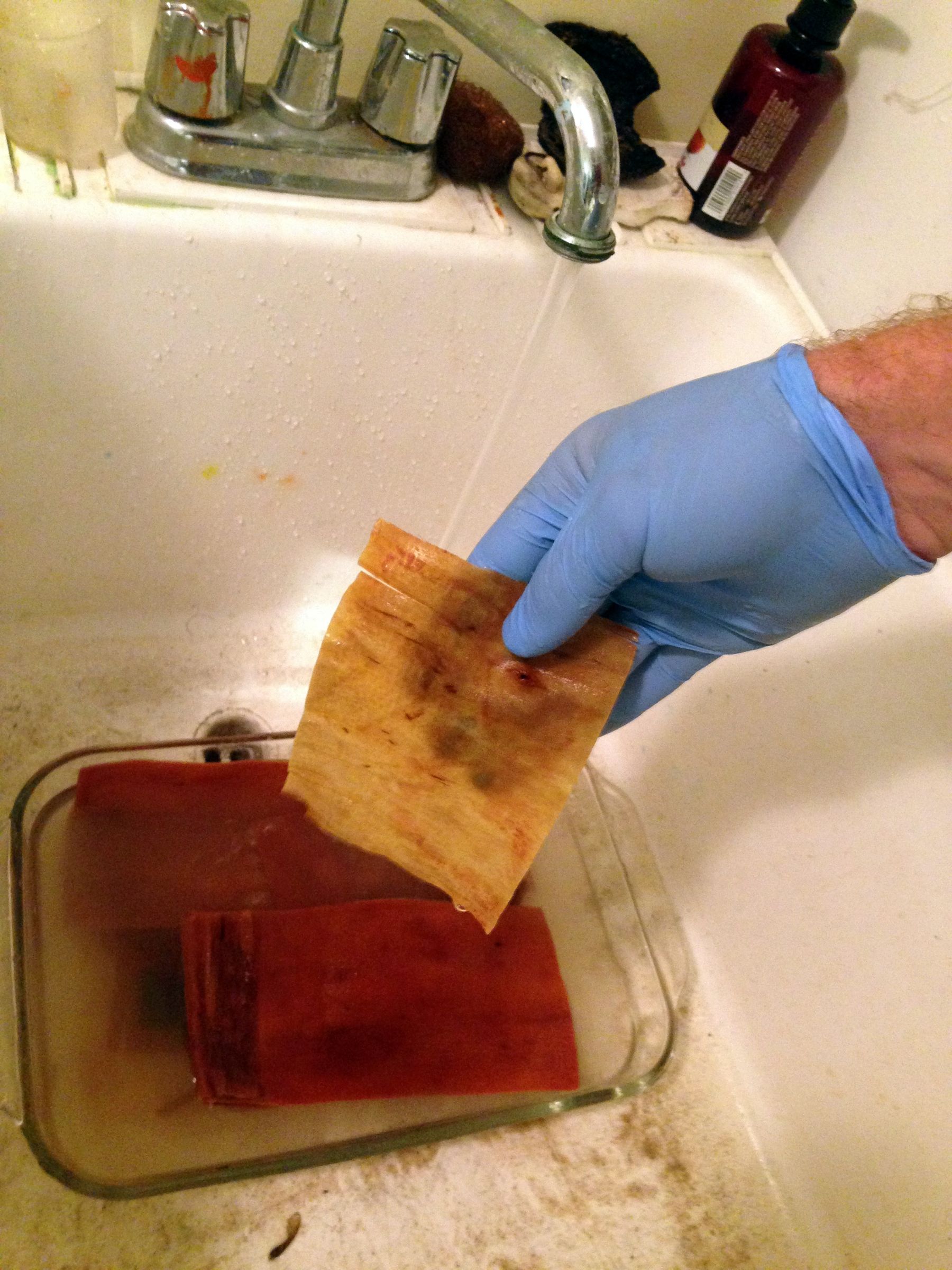 Transparent Wood : 10 Steps (with Pictures) - Instructables