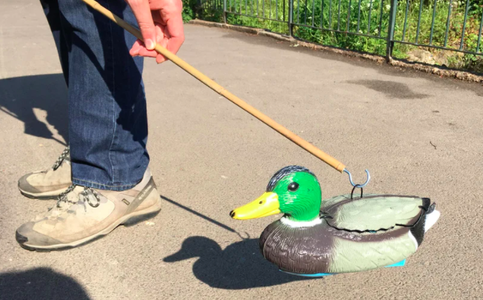 Dave - the Remote Control Duck : 25 Steps (with Pictures) - Instructables