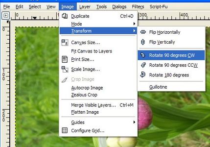 Adjust Gamma and Rotate Pictures With GIMP : 7 Steps - Instructables