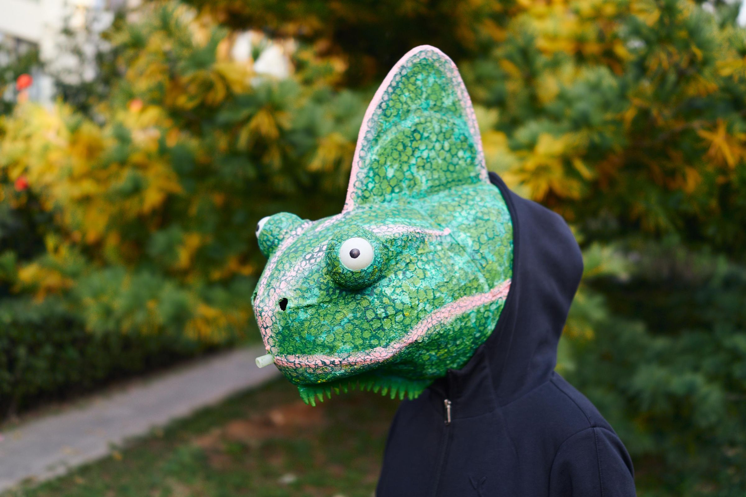 Chameleon Mask : 8 Steps (with Pictures) - Instructables