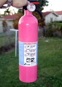 Paint Her Fire Extinguisher Pink! (or Any Other Color...) : 6 Steps ...