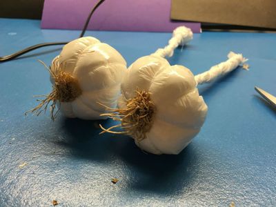 How to Make Fake Garlic With Plastic Bags : 6 Steps (with Pictures ...