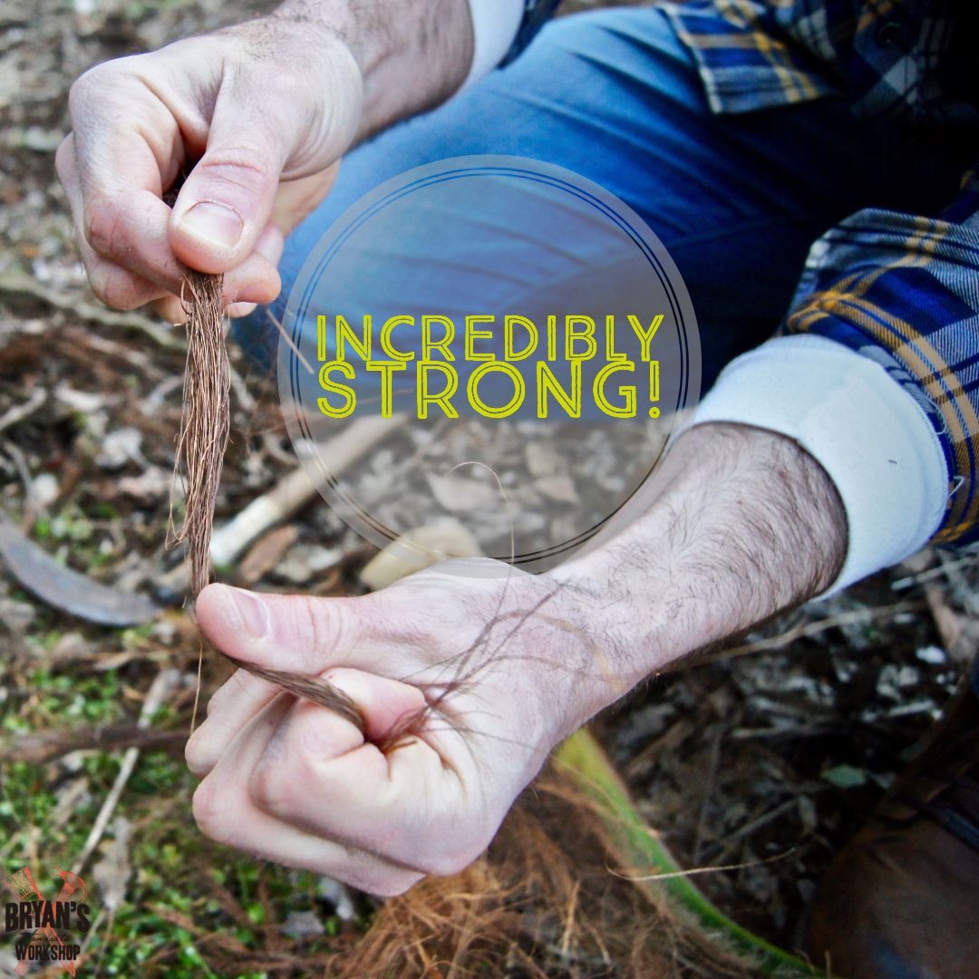 How to Make Rope Using Windmill Palm Tree Fiber! : 6 Steps (with ...