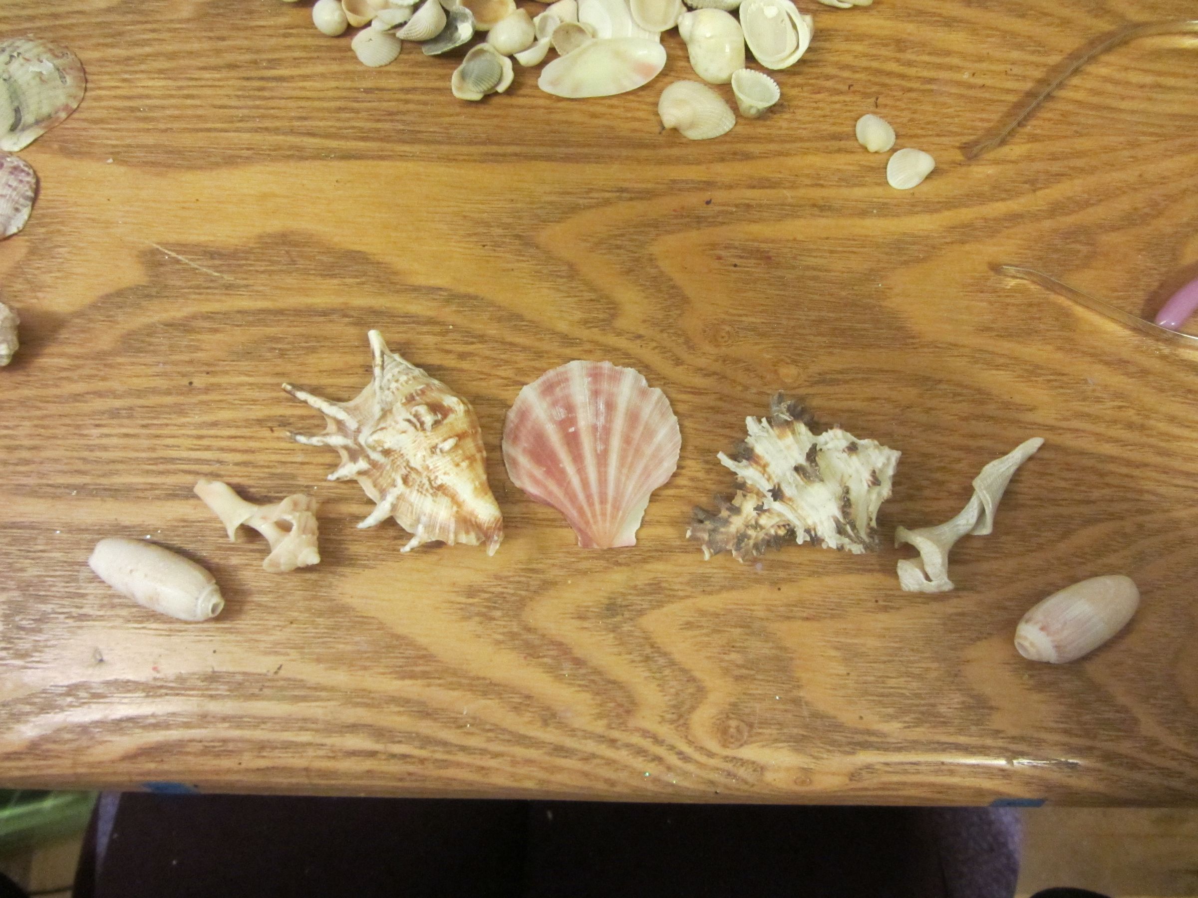 DIY Mermaid Shell Crown : 6 Steps (with Pictures) - Instructables