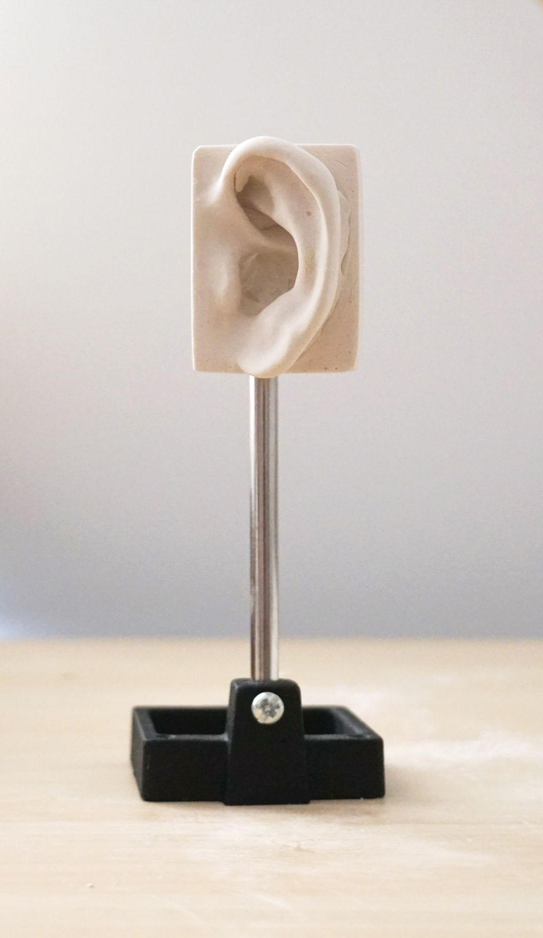 How to Cast an Ear in Plaster | DIY Earring Display Stand for Jewellery ...