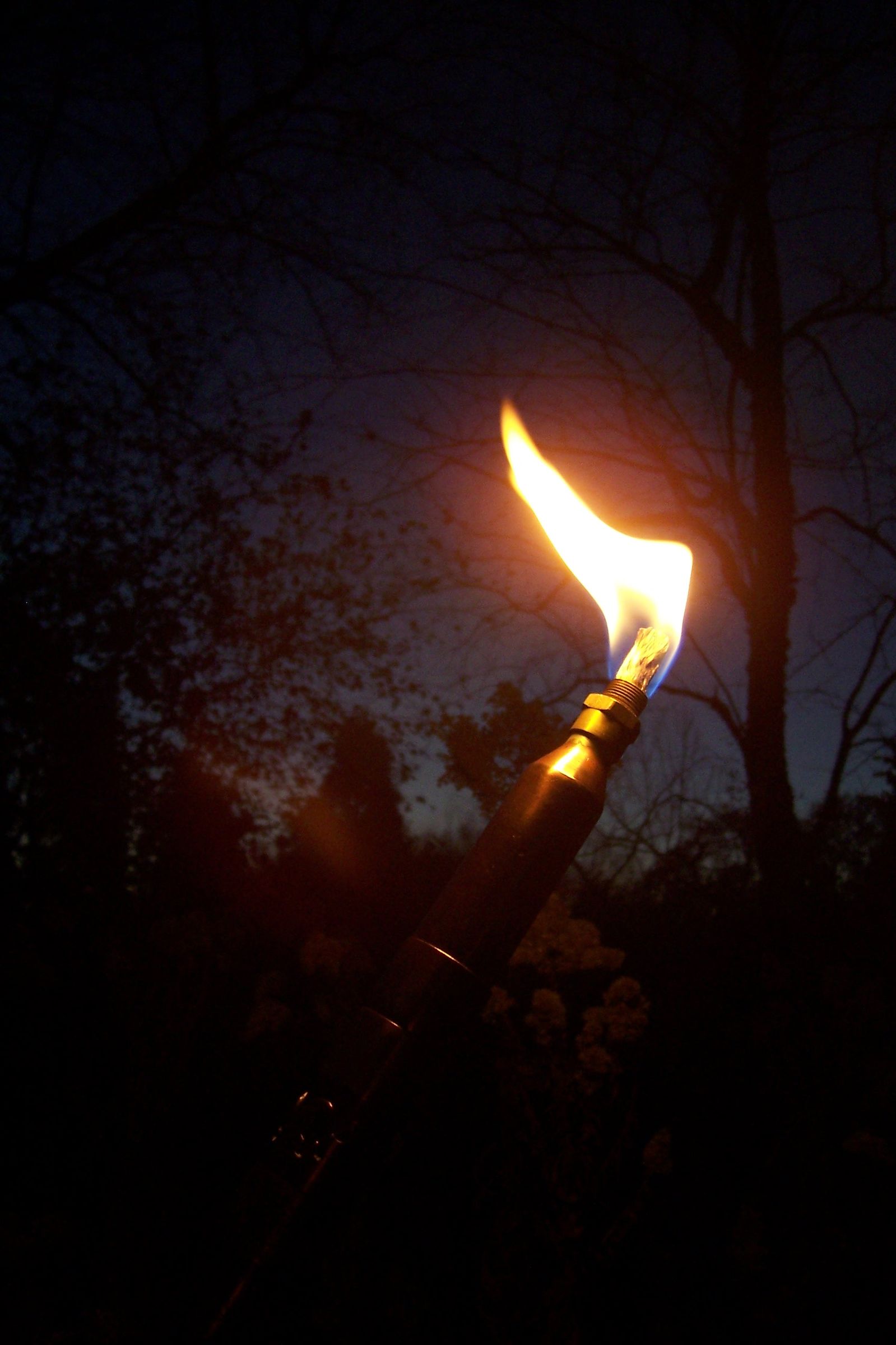 Multi-function Walking Stick III - Torch Bearer : 9 Steps (with ...