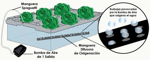 Basics of Hydroponics System - Floating Root Technique : 8 Steps (with ...