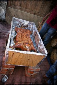 Build a Caja China ~ Roast a Pig in a Box : 10 Steps (with Pictures ...
