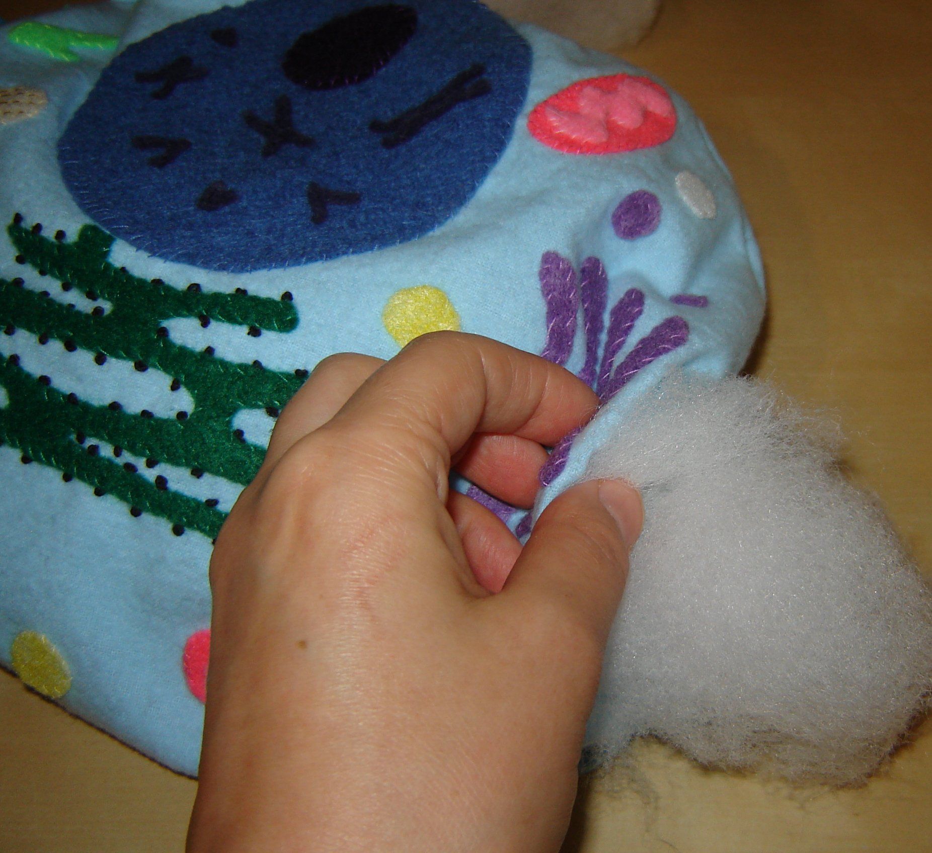 Plush Cell Model : 13 Steps (with Pictures) - Instructables