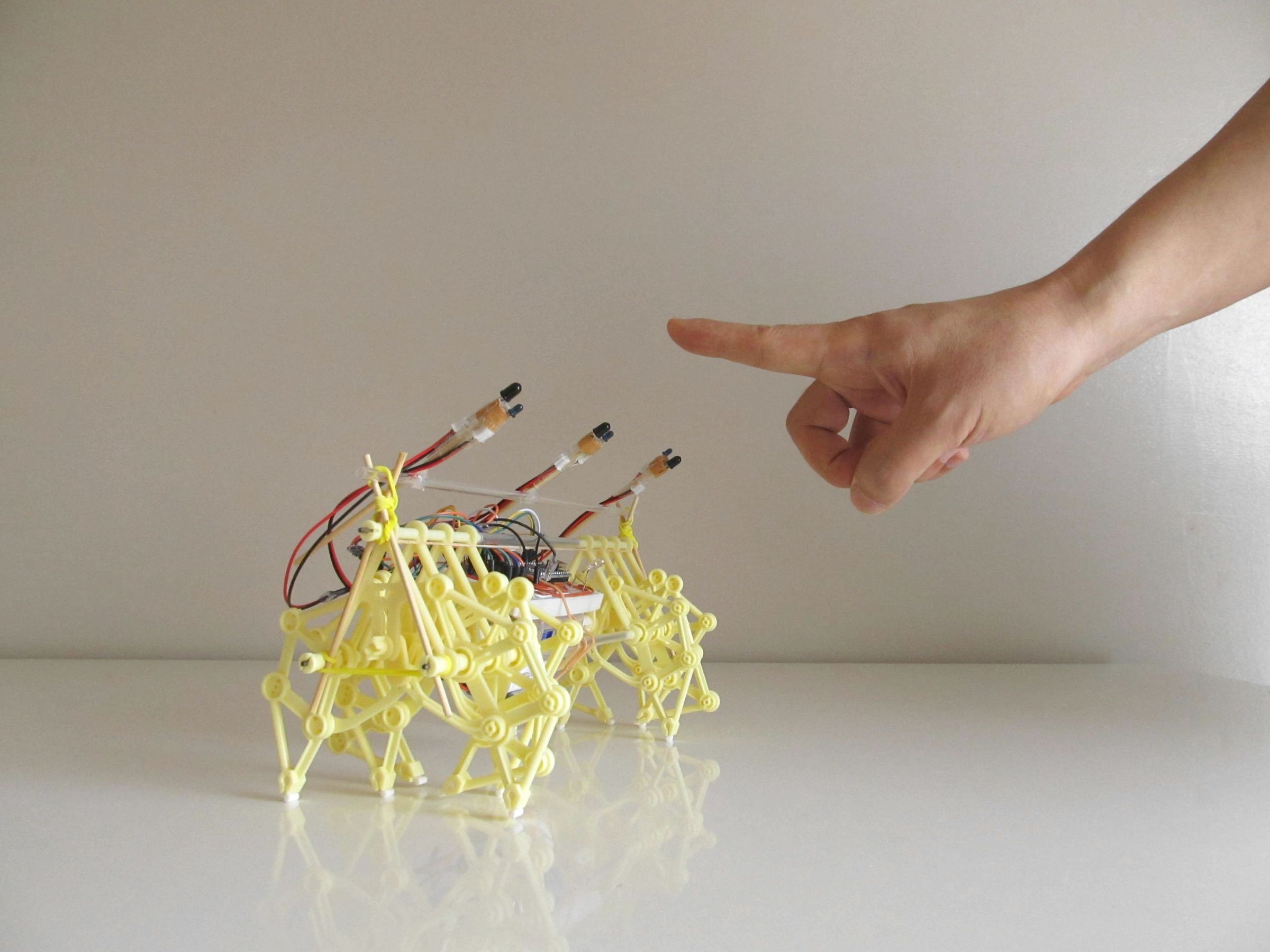Training Theo Jansen's Mini STRANDBEEST : 11 Steps (with Pictures ...