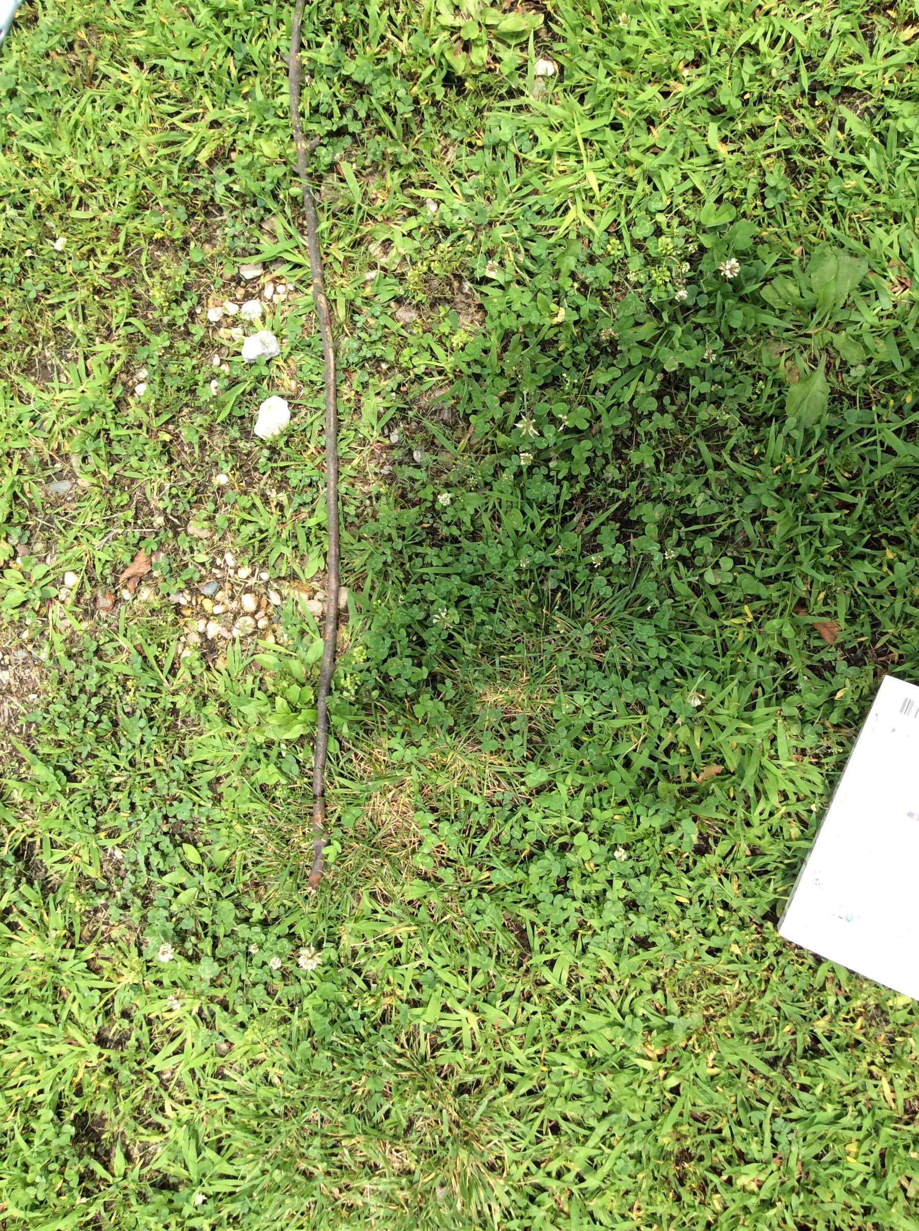 Find North With a Stick and the Sun : 6 Steps - Instructables