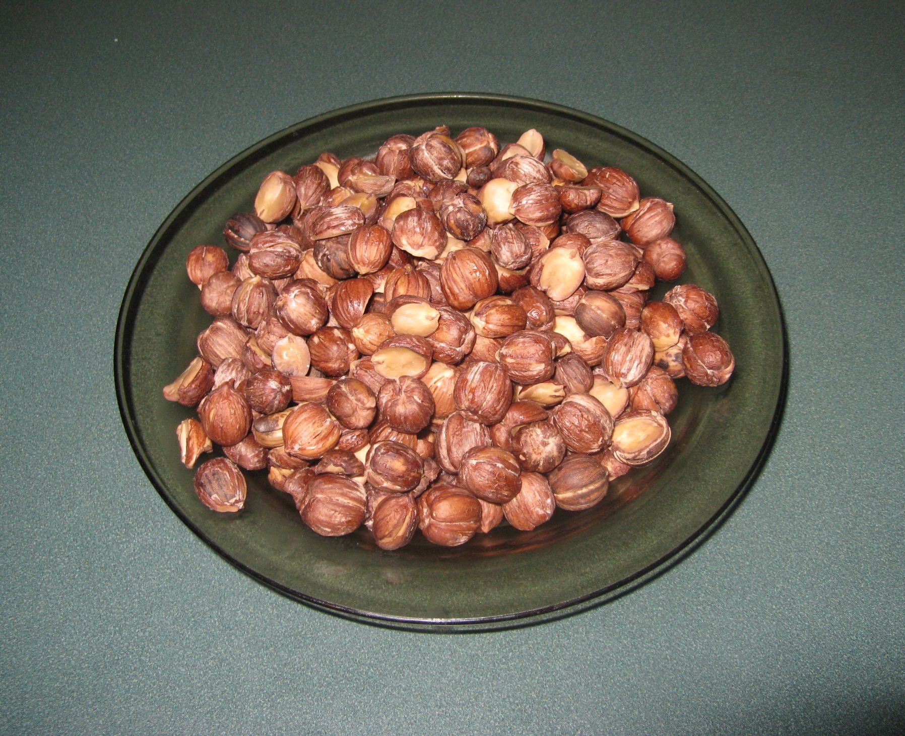 Three Essential Groups of Wild Edible Plants : 19 Steps (with Pictures ...