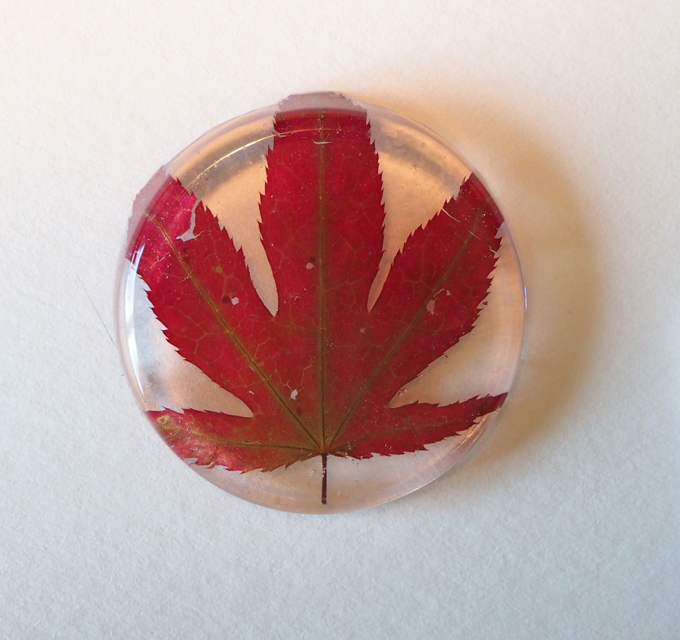 Techniques to Embed Flowers in Resin : 12 Steps (with Pictures ...