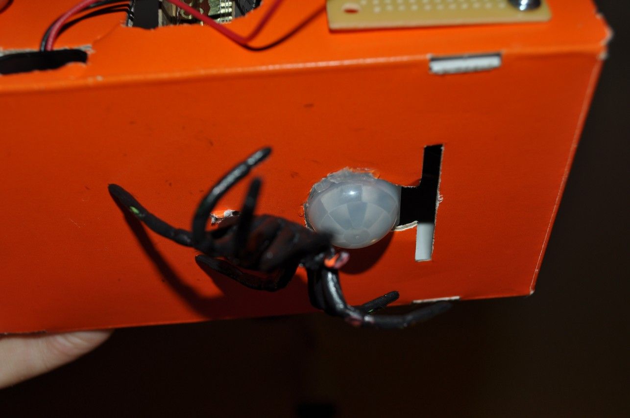 Motion Activated Dropping Spider, Low Cost, No Programming : 10 Steps ...