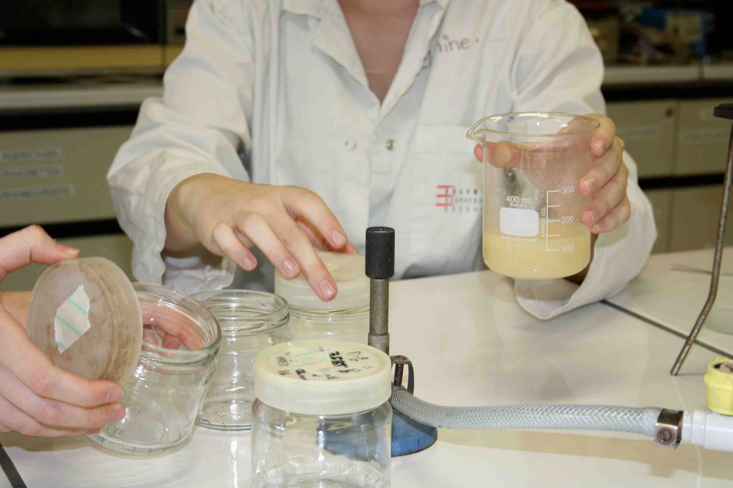 Cook Your Own Microbial Growth Plates : 8 Steps (with Pictures ...