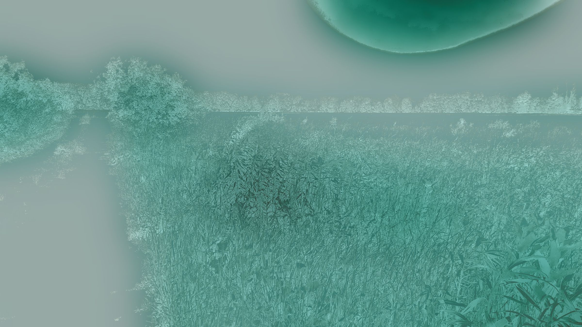 Cyanotype Camera Obscura : 5 Steps (with Pictures) - Instructables