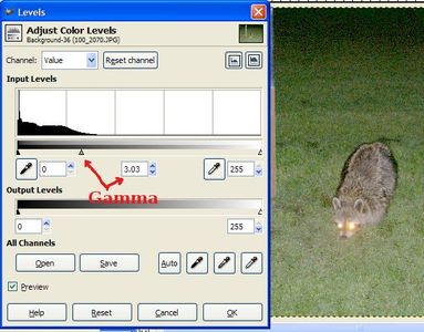 Adjust Gamma and Rotate Pictures With GIMP : 7 Steps - Instructables