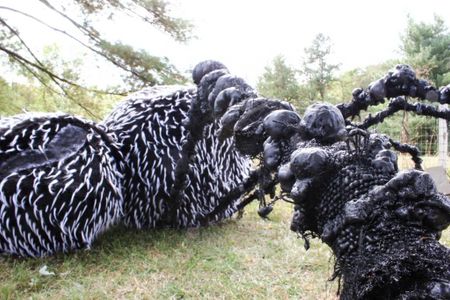 The Build of a Giant Spider : 7 Steps (with Pictures) - Instructables